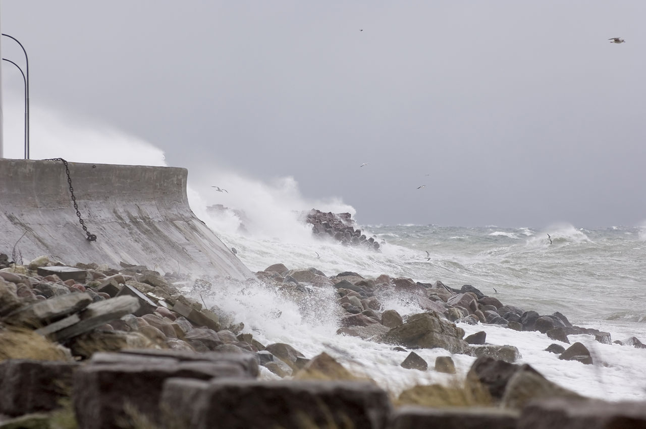 Staying safe in wild wind | AMI Hub