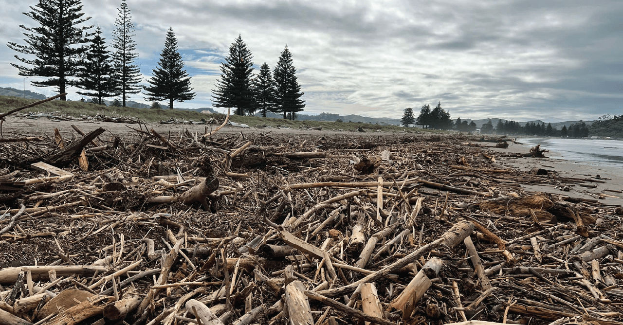 AMI Wild Weather Tracker – Issue 4 | AMI Hub